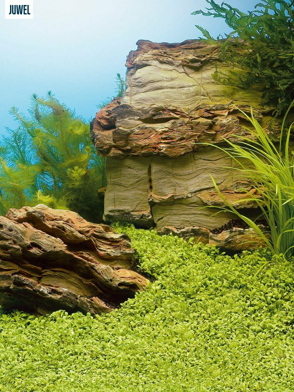 Фон пленочный Juwel Подводный пейзаж + Скалы Постер S JUWEL 2-х сторонний — фото 1