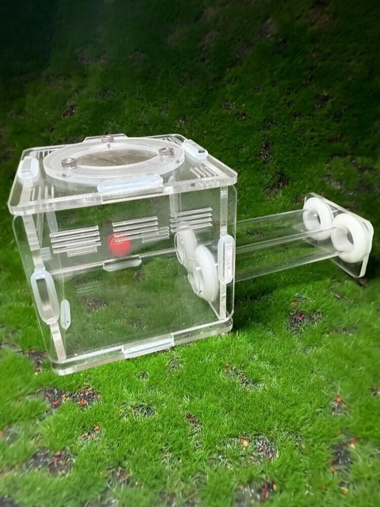 Арена-инкубатор для муравьев арена пробирочная