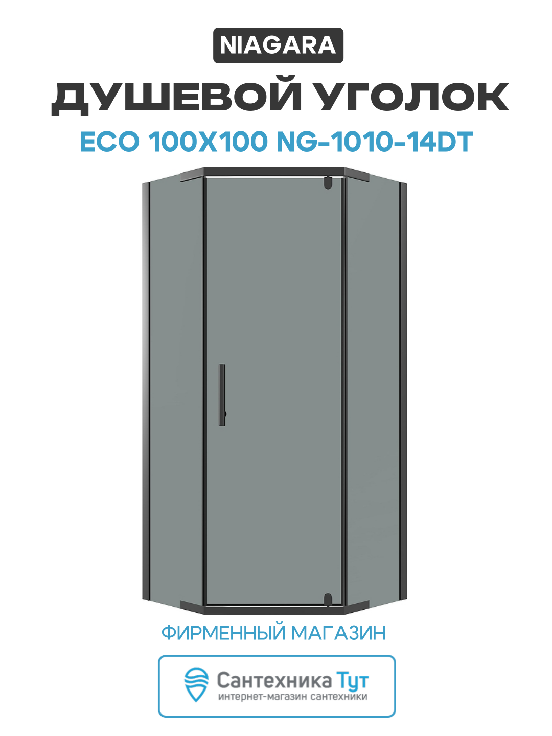 Душевой уголок Niagara Eco 100х100 NG-1010-14DT профиль цвет Черный матовый стекло тонированное