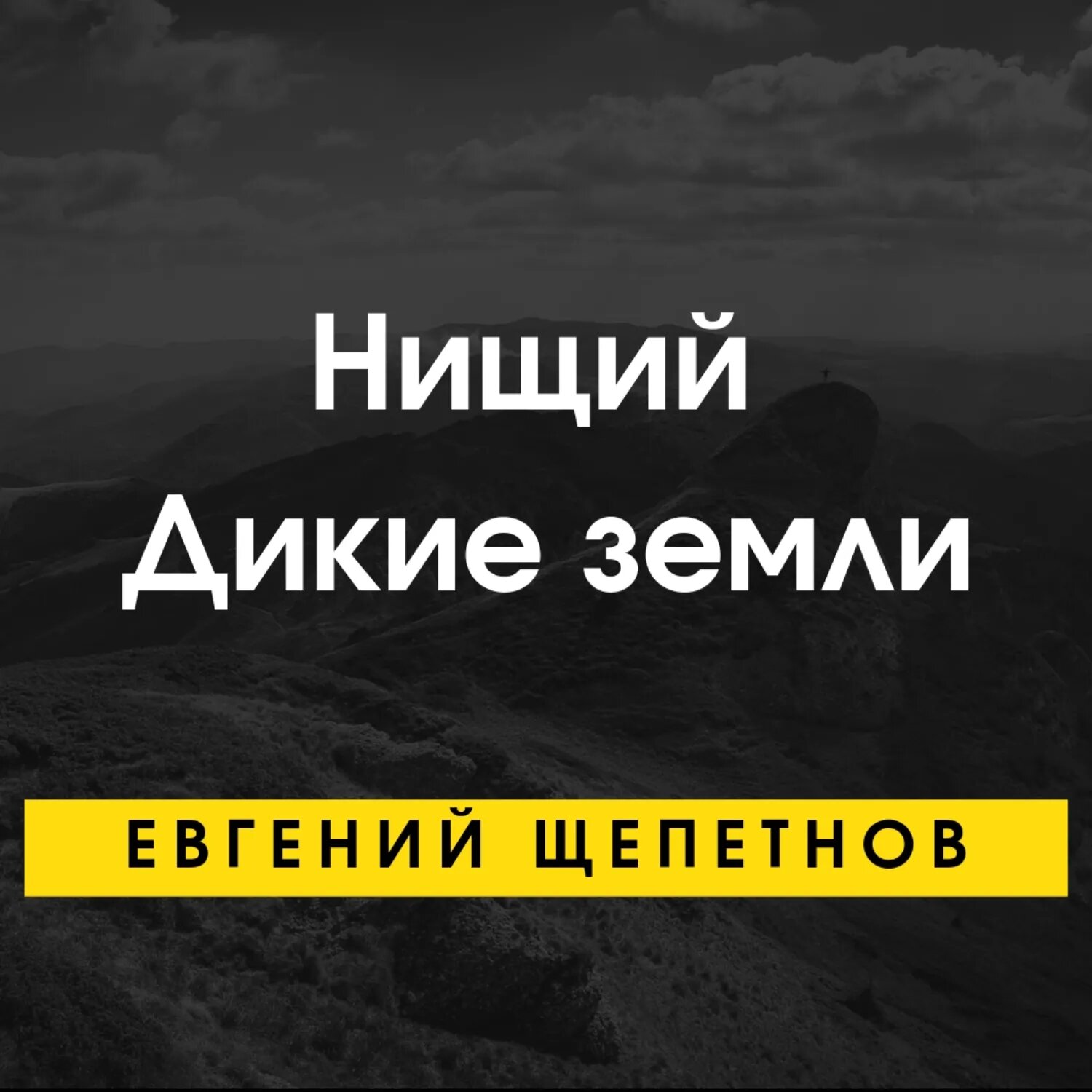 Нищий. Дикие земли [Аудиокнига]