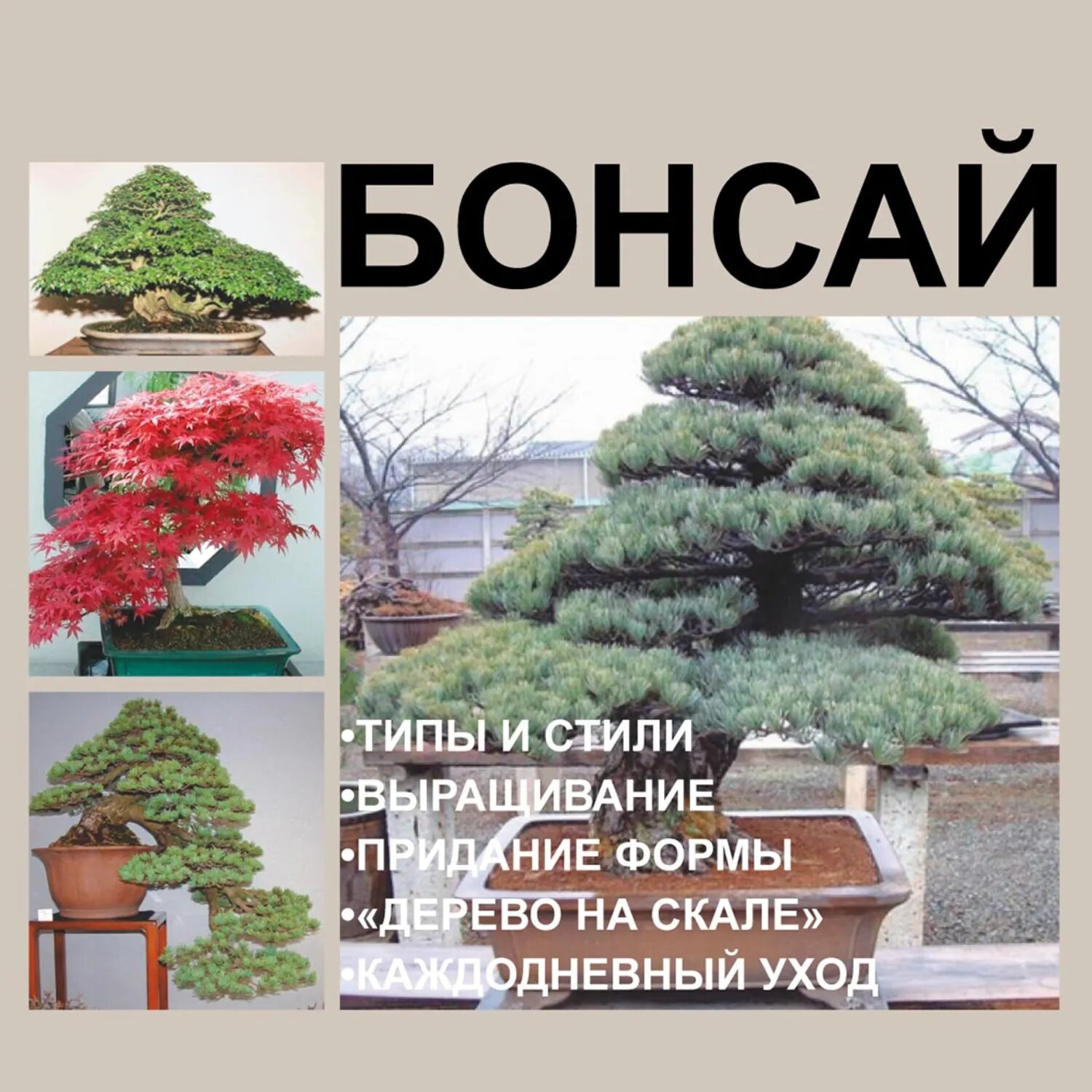 Бонсай [Цифровая книга]
