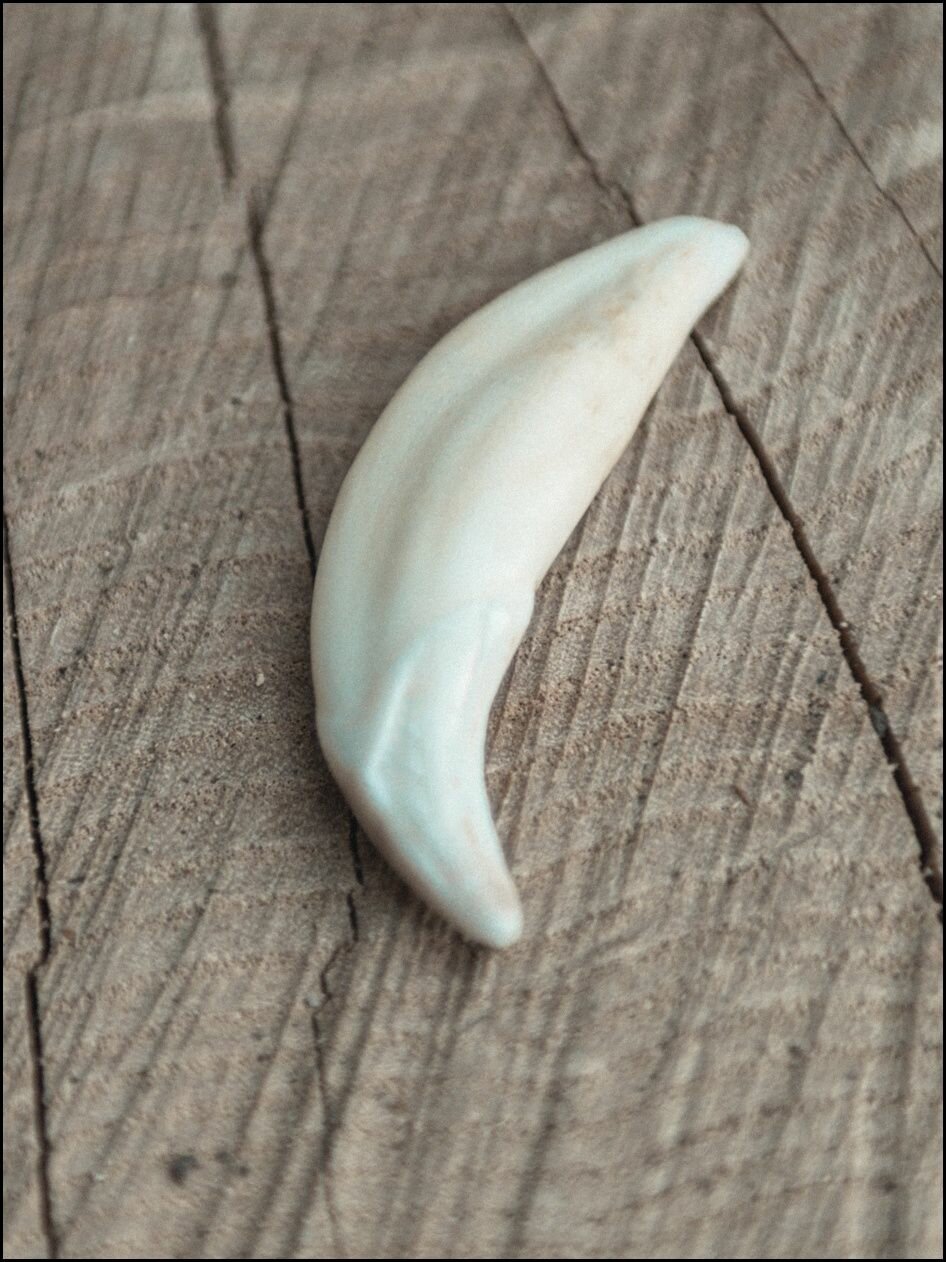 Волчий Клык Амулет народный талисман, защищает от негатива, стильный