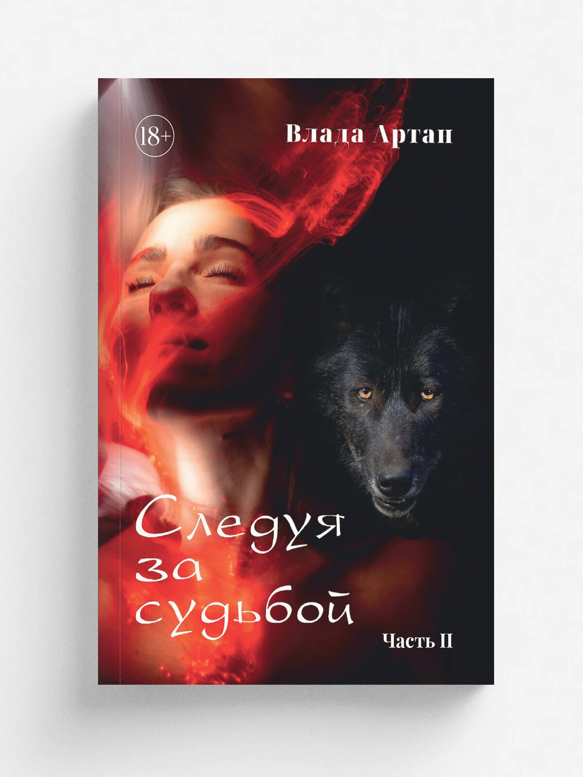 Следуя за судьбой. Книга вторая