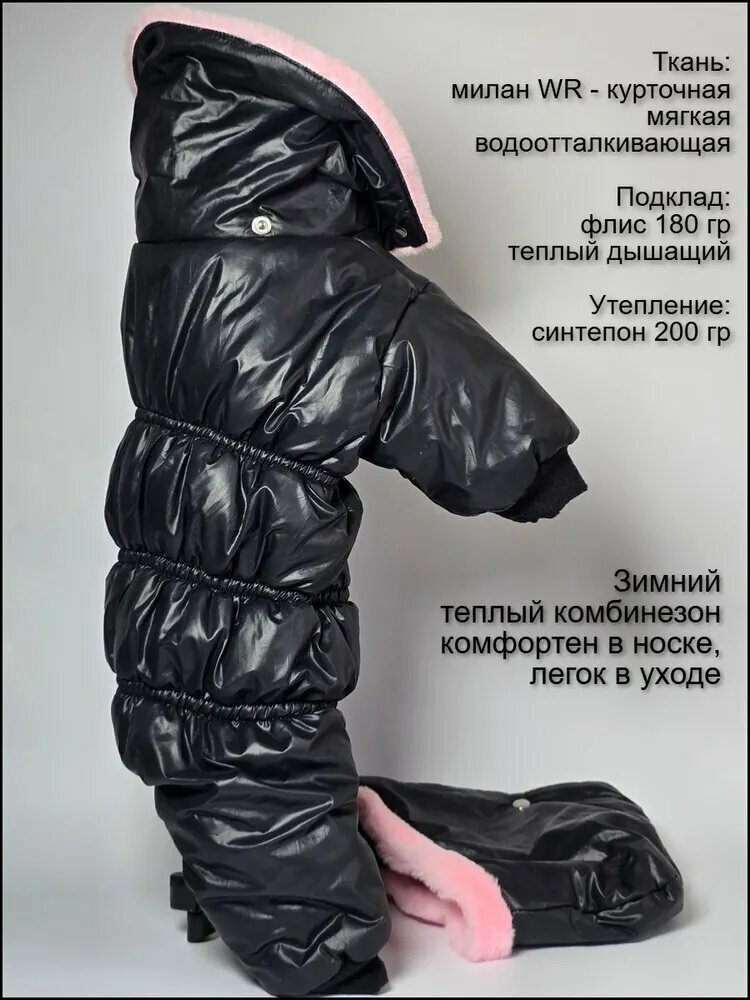 Одежда для животных — фото 1