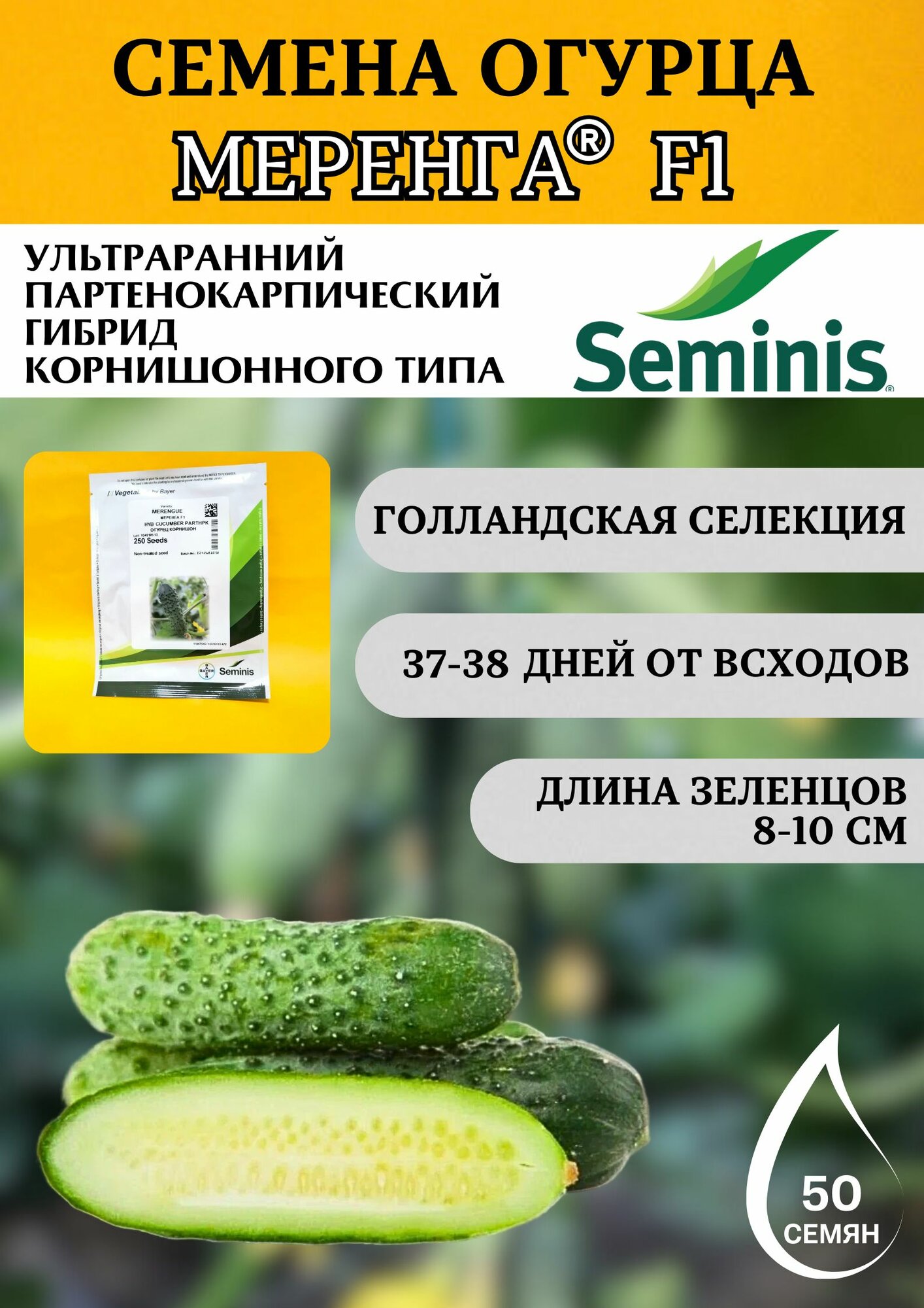 Семена Огурца Меренга F1, 50 семян в пачке (ручная фасовка), профессиональные семена