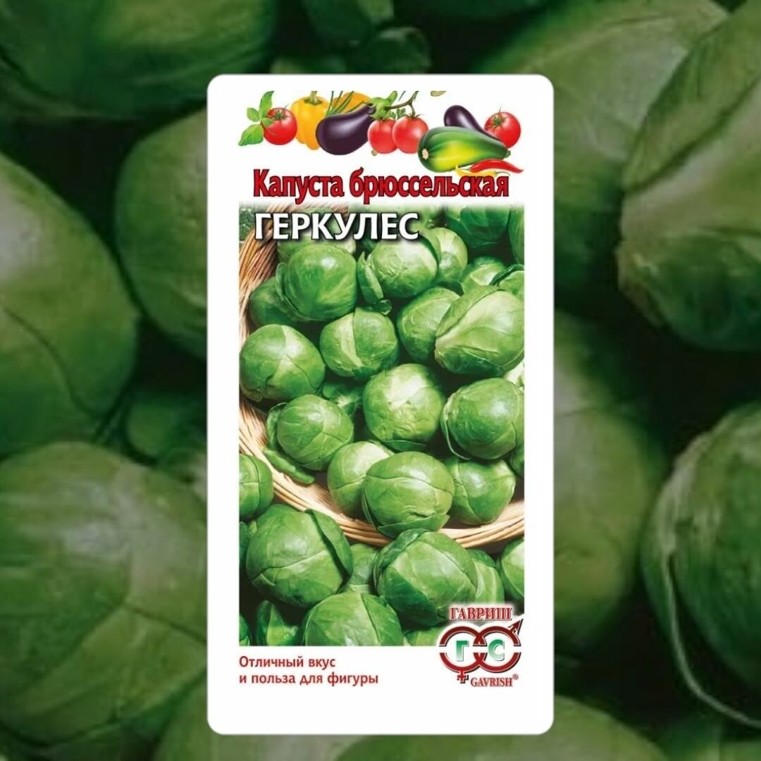 Капуста Геркулес брюссельская цв. п 0,2г Гавриш