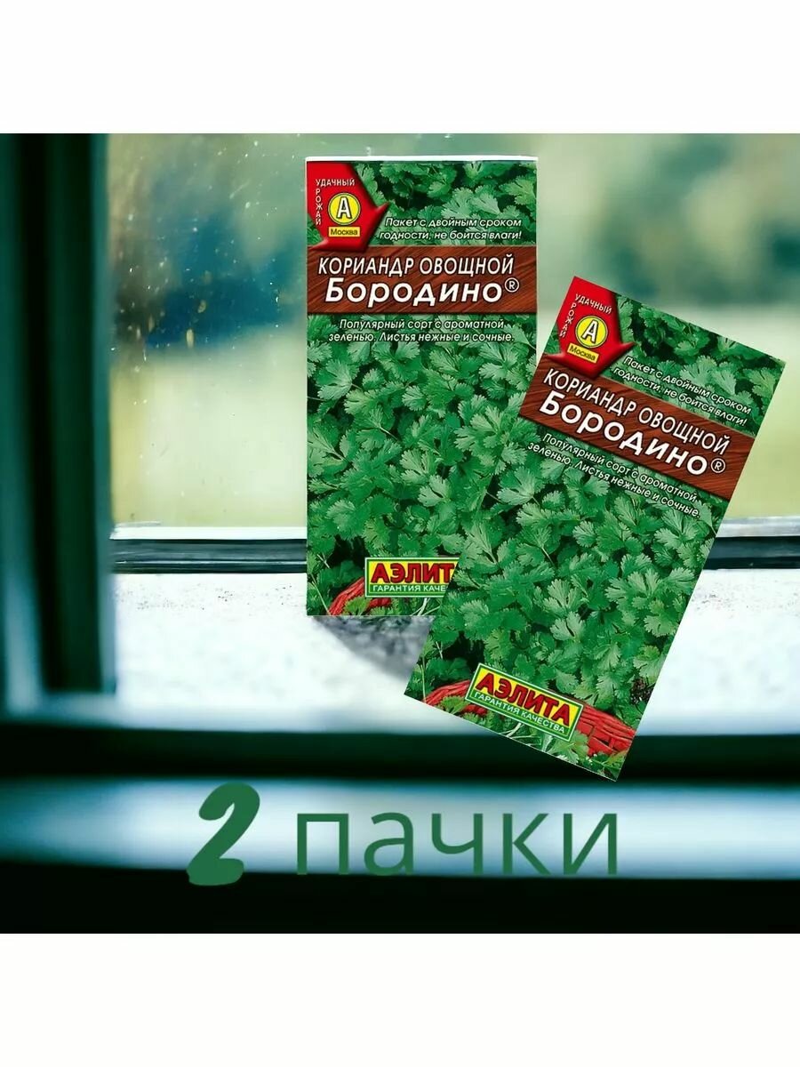 Кориандр Бородино цв. п 3г (комплект из 2 пачек) Аэлита
