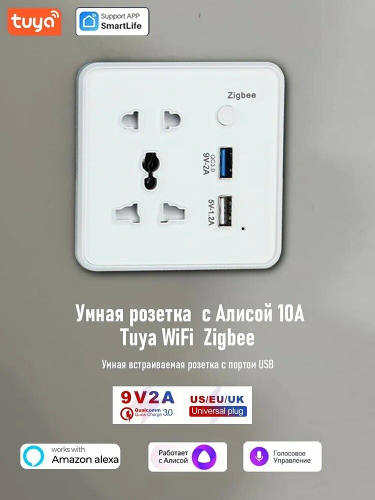 Умная розетка Zigbee встраиваемая 2 поста 10A с USB Совместим с Алиса, Яндекс, Умный дом Белый (чёрный)