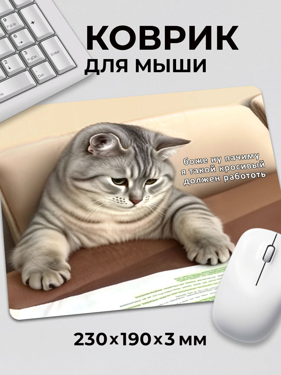Коврик для мышки Мем Кот Почему я такой красивый грустный