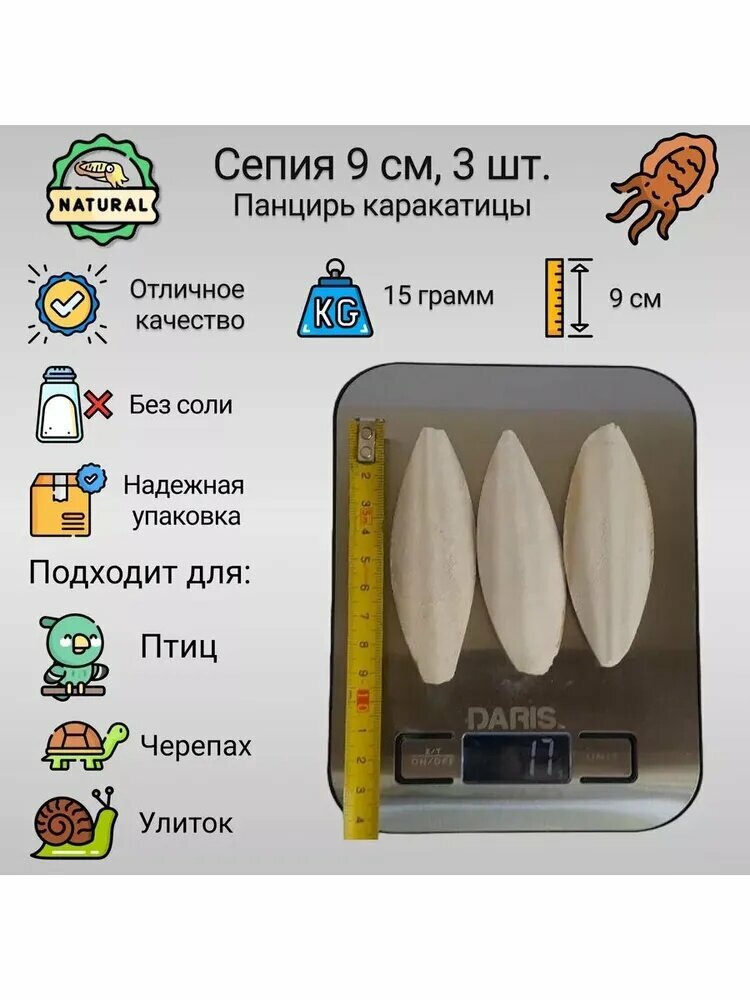 Палочки из зубов каракатицы, попугая, птицы, улитки, 9см, 3 упаковка
