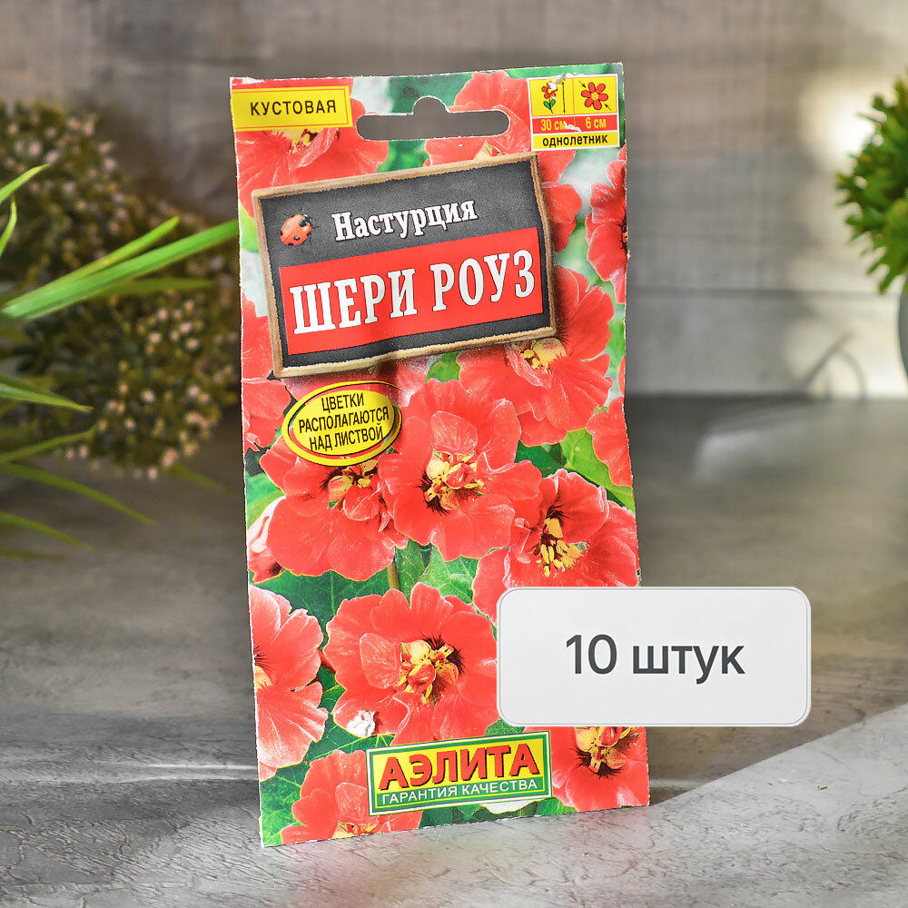 Настурция кустовая "шери роуз", карликовая, однолетник, 10 шт, высота 30 см, цветок 6 см