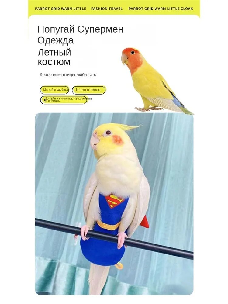 Одежда для попугаев и птиц: подгузники, комбинезоны для полёта, штанишки от помёта для волнистых попугаев, корелл и неразлучников