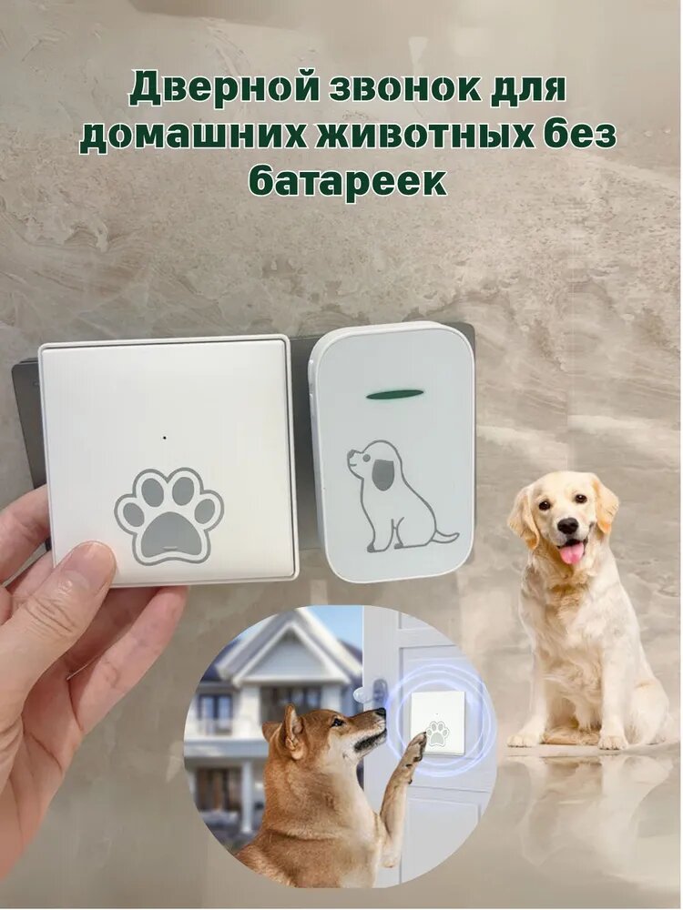 Беспроводной дверной звонок для кошек и собак -используется для дрессировки, связи, водонепроницаемый, приемник + передатчик