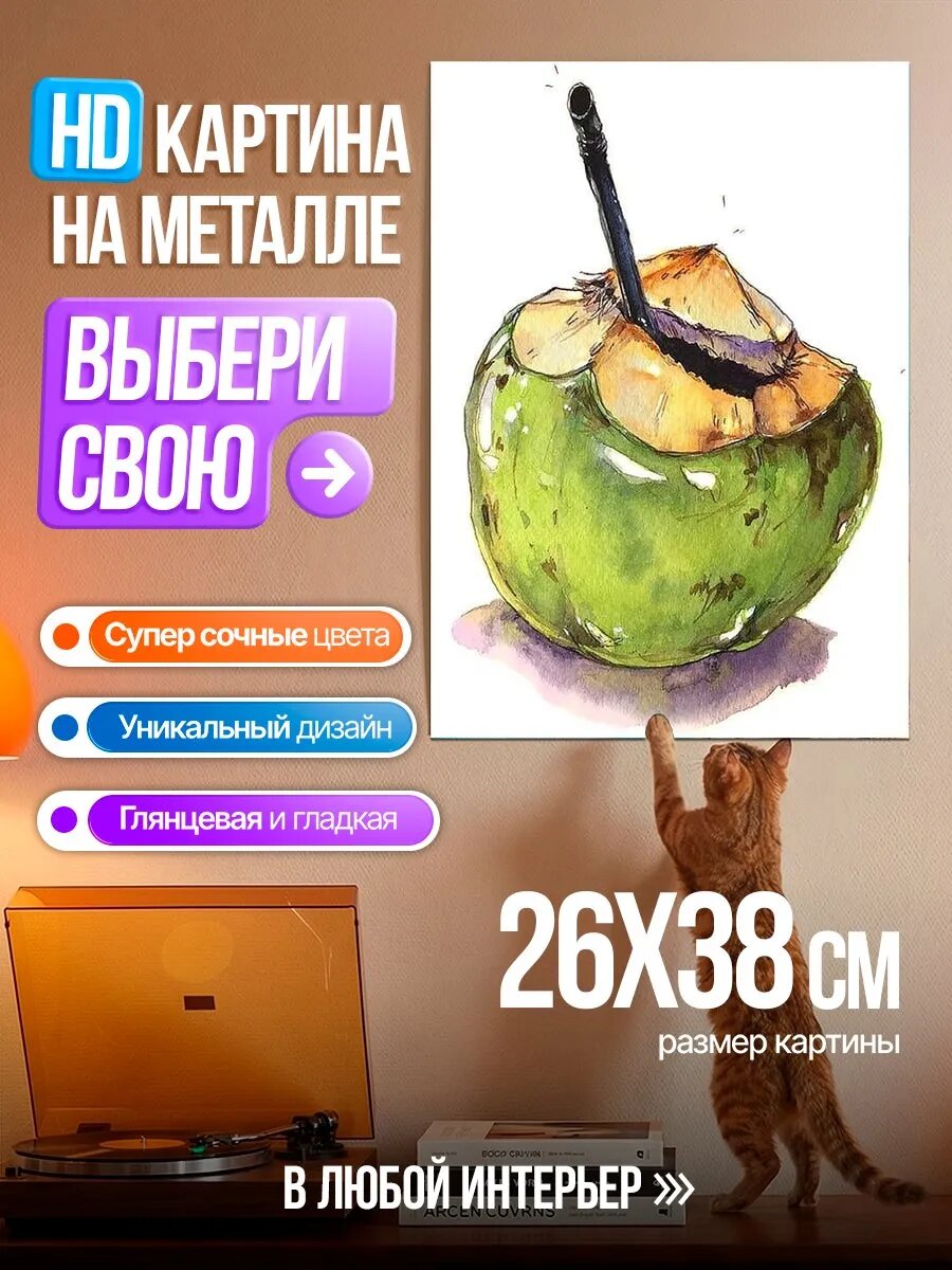 Картина на HD металле Кокосовый напиток