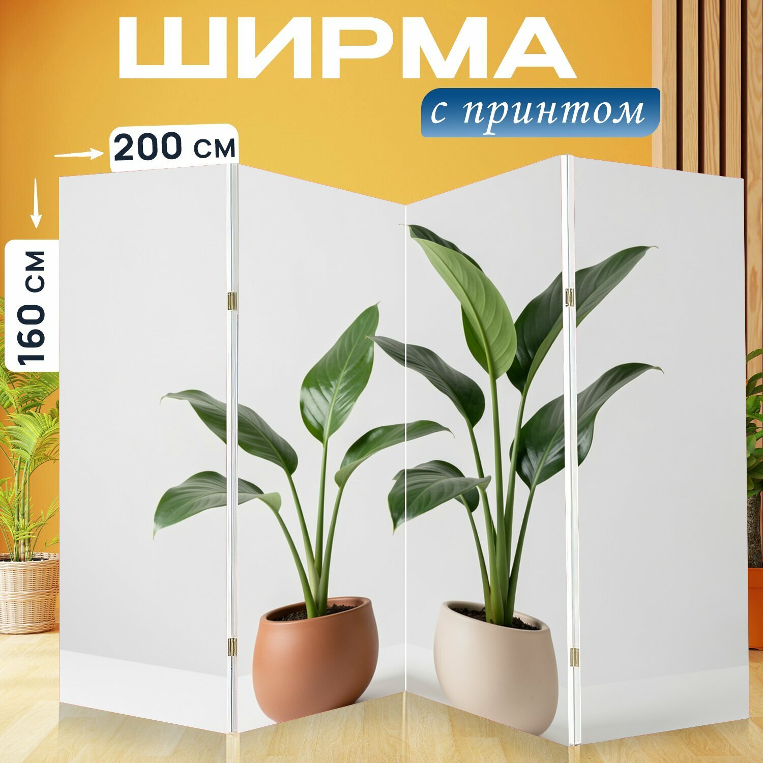 Ширма "Зеленые комнатные растения в горшках. Два высоких тропических растения с крупными глянцевыми листьями в." перегородка для зонирования комнаты с принтом 200x160 см. на холсте