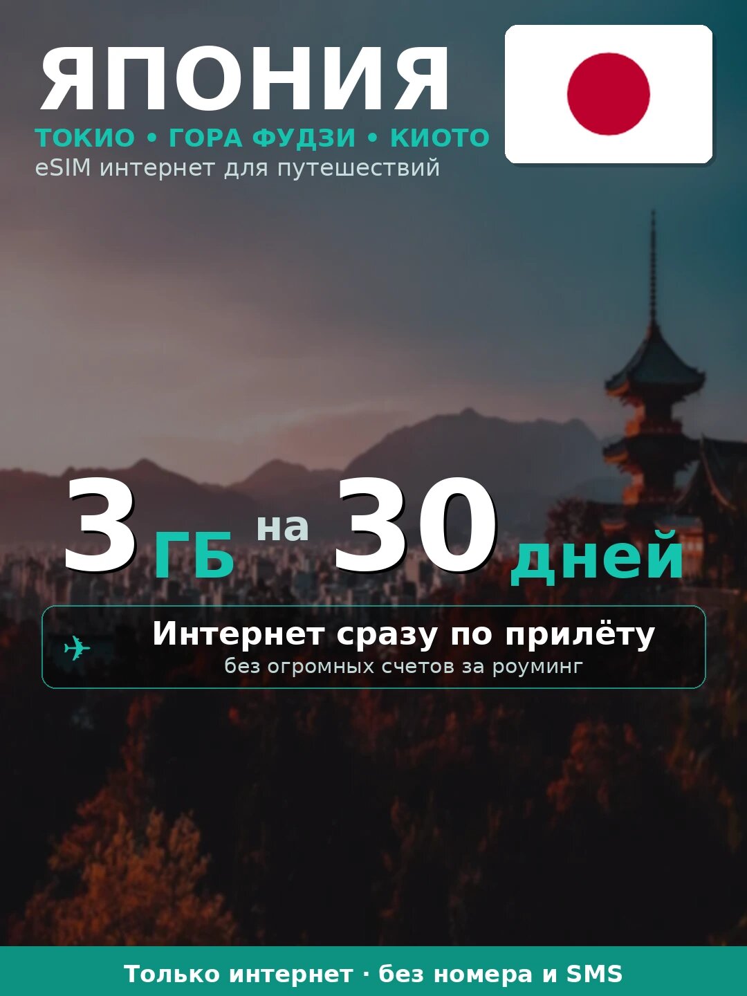 ESIM Япония — мобильный интернет 3 ГБ на 30 дней | виртуальная SIM-карта для путешествий