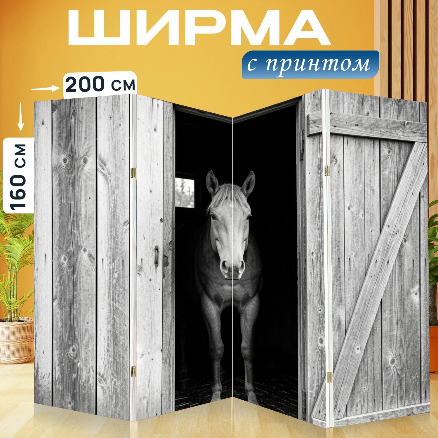 Ширма "Лошадь в дверном проеме. Черно-белый сельский сюжет: грациозный конь стоит в распахнутом деревянном." перегородка для зонирования комнаты с принтом 200x160 см. на холсте