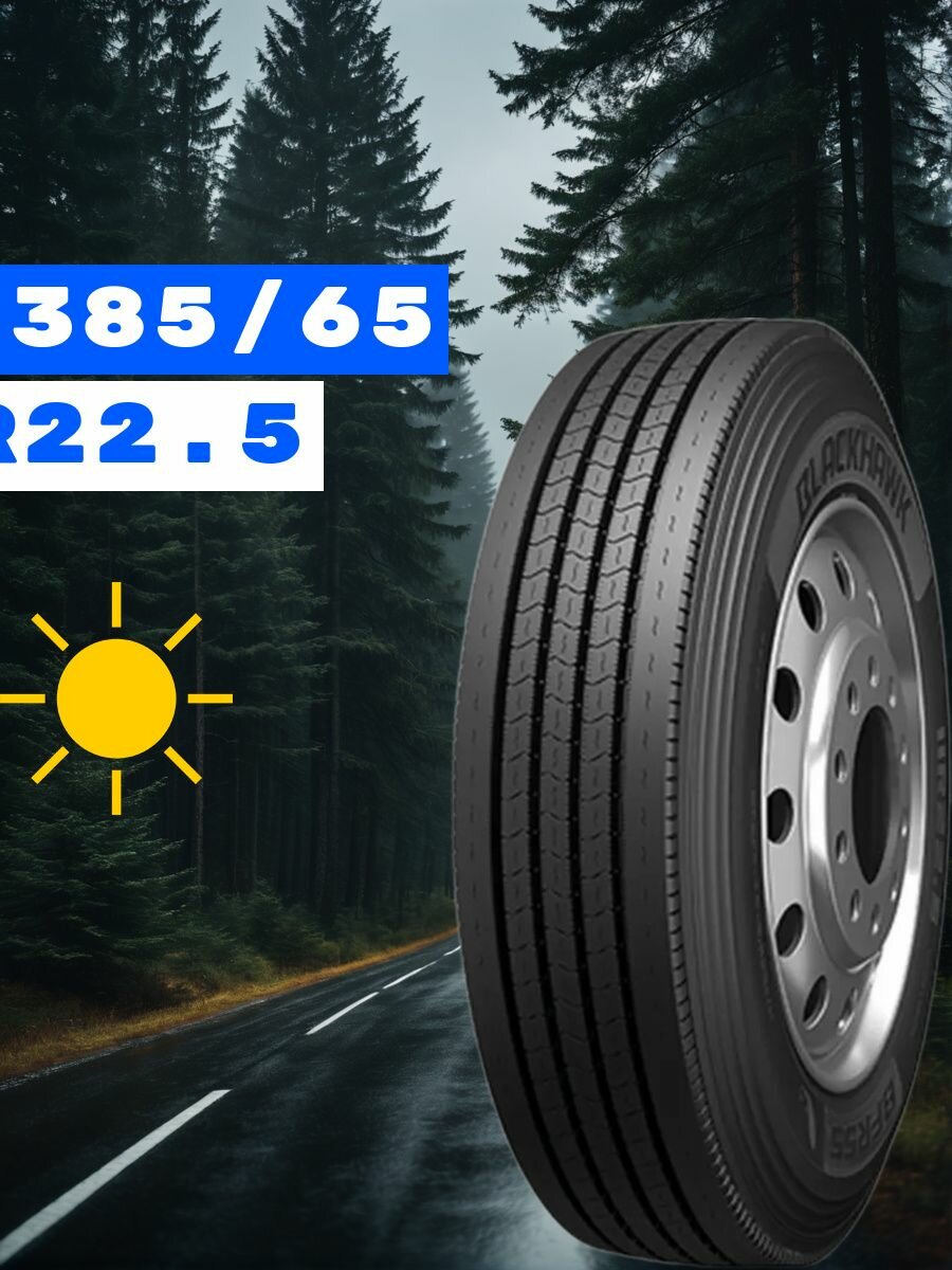 Автошина 385/65/R22,5 20pr 160K BFR55 3PMSF Blackhawk TL