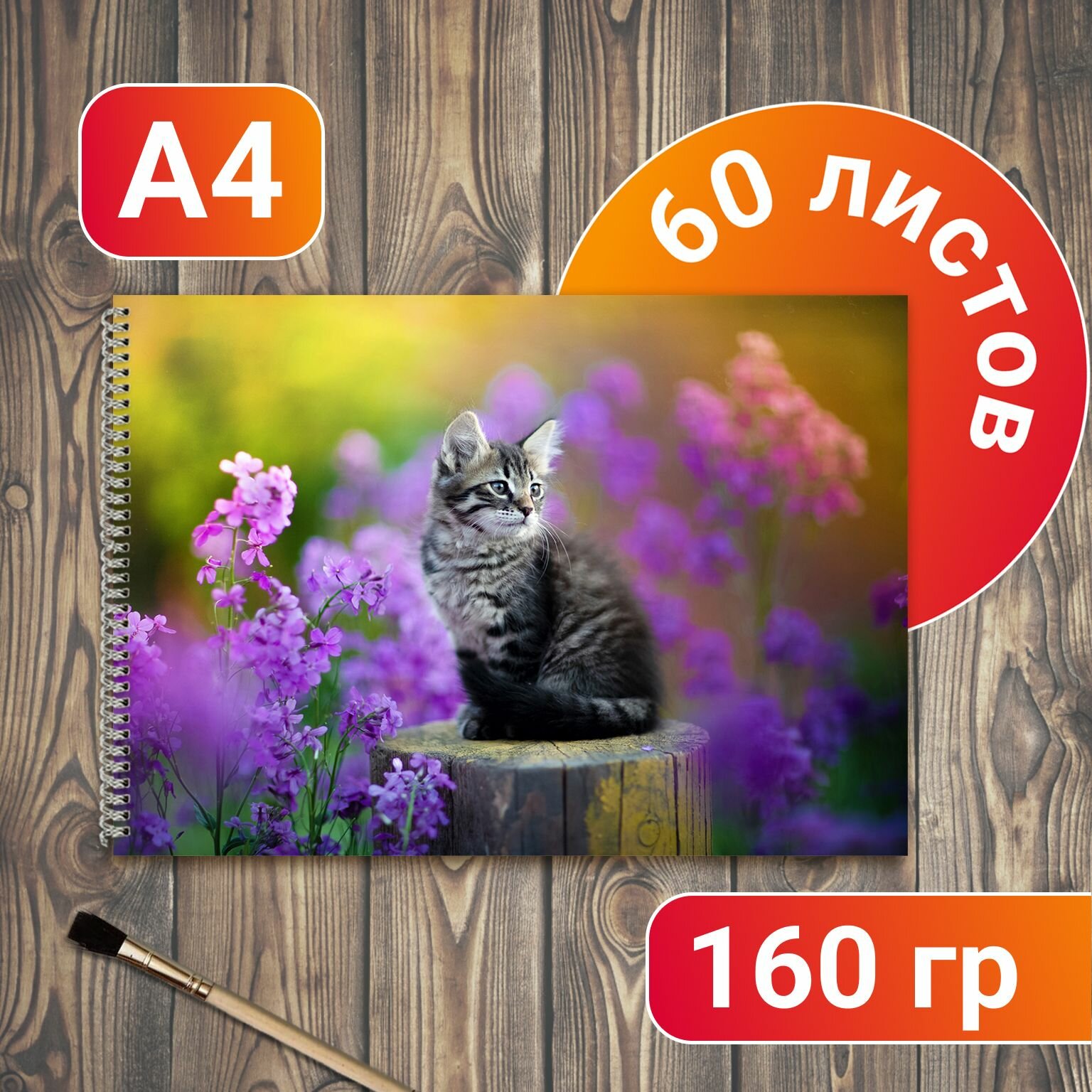 Альбом для рисования Котик
