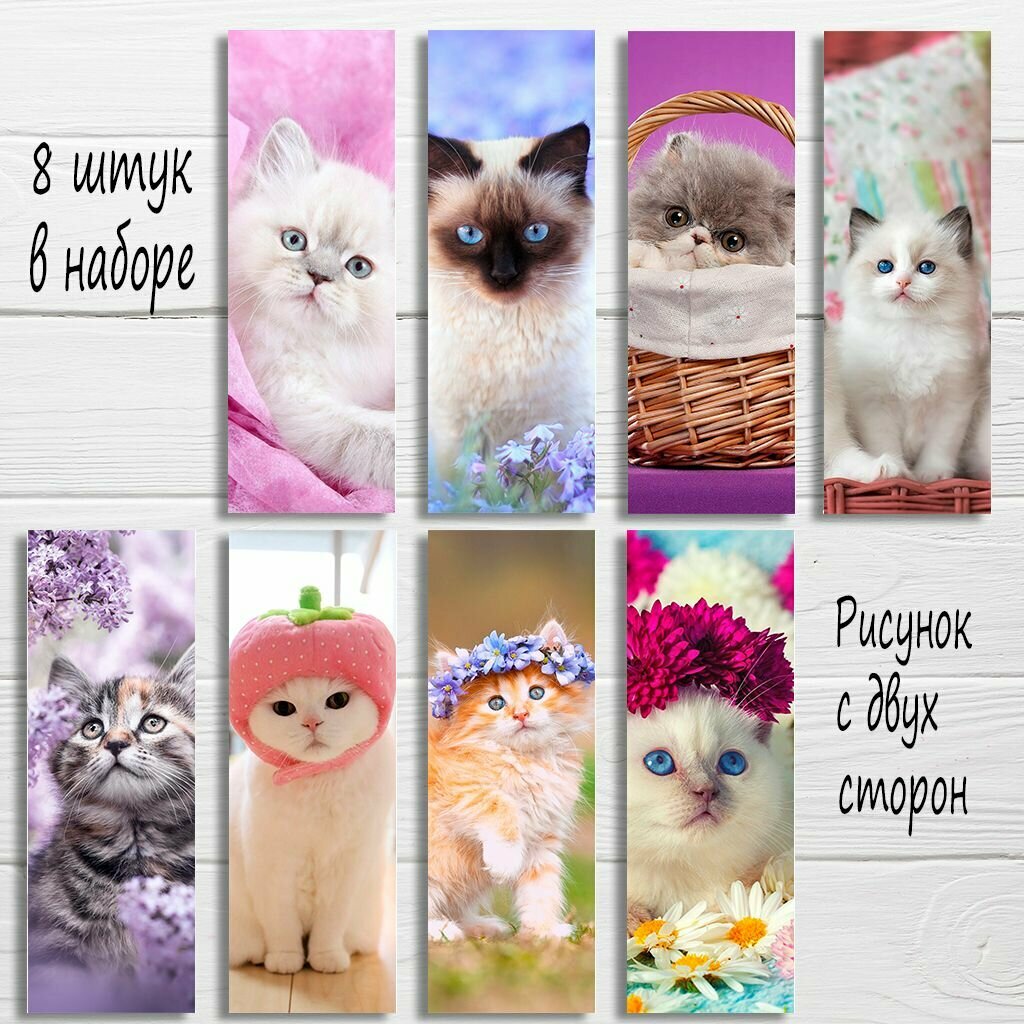 Закладка для книг с котиками, набор из 8 штук