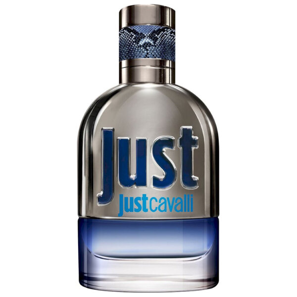 Roberto Cavalli Мужской Уценка Just Cavalli Him 2013 Туалетная вода (edt) 30мл