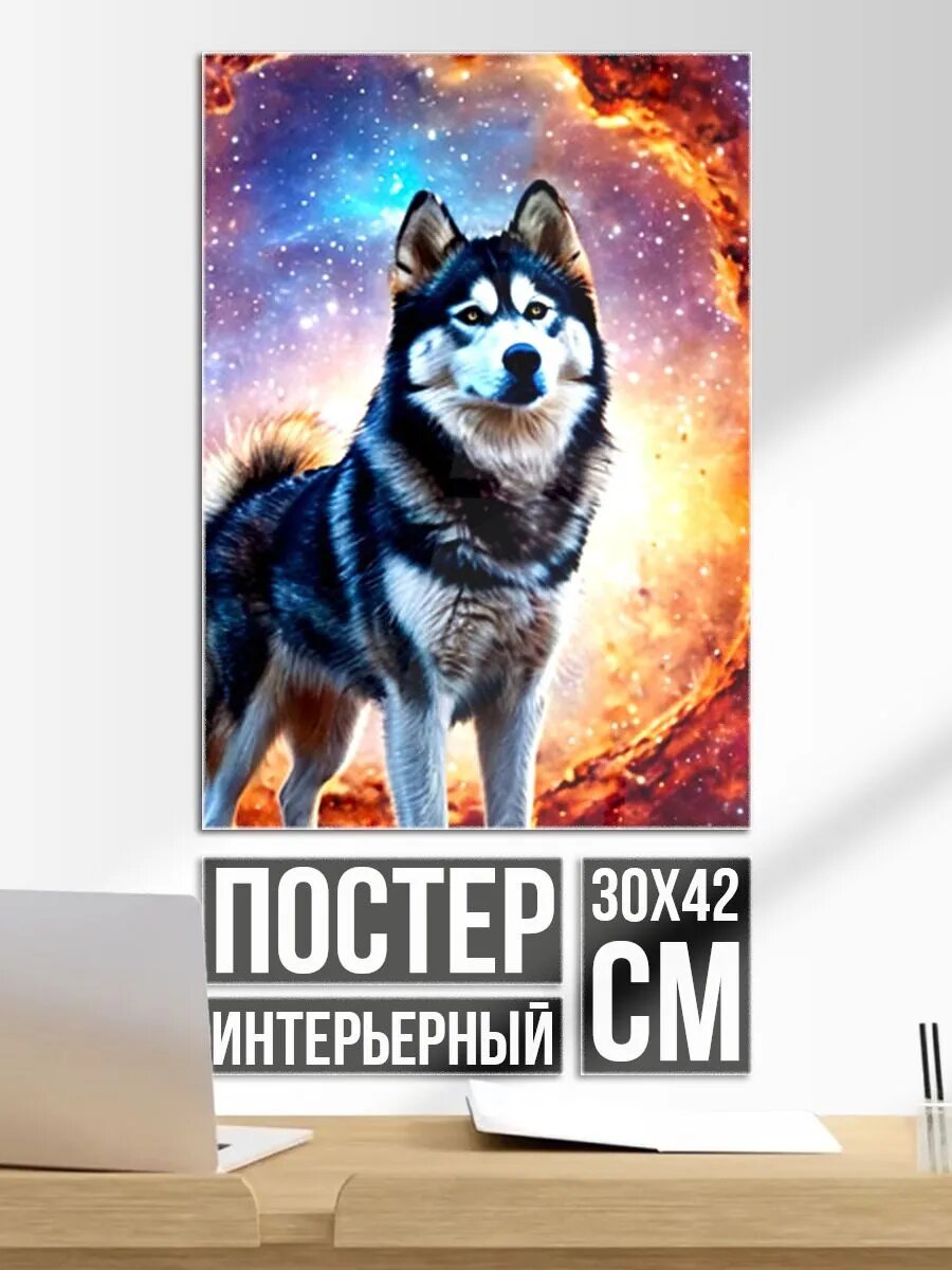 Постер на стену Сибирский Хаски в космосе