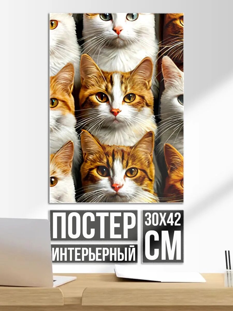 Постер на стену Турецкий ван