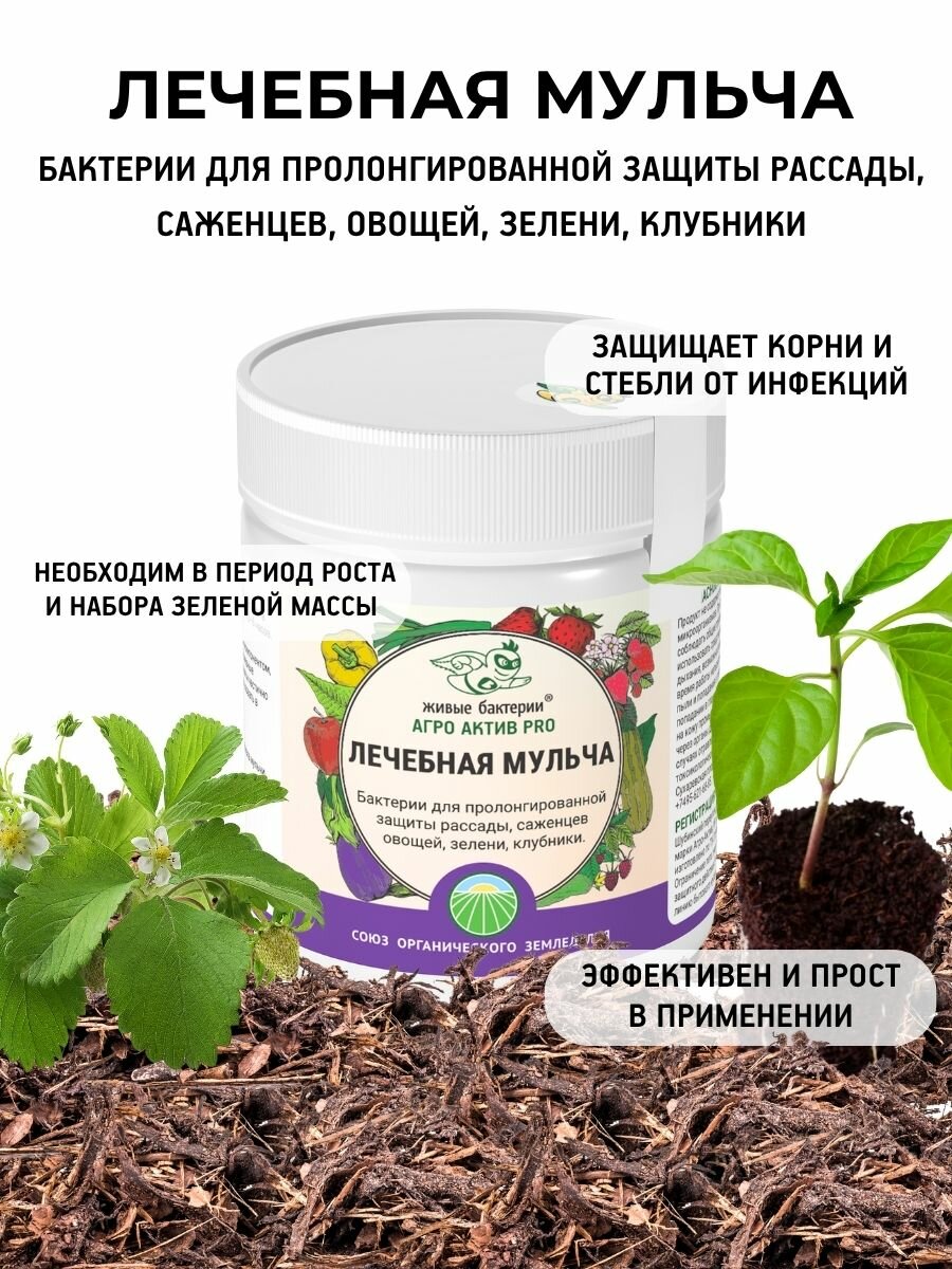 Агро Актив PRO лечебная мульча, бактериальный БИО препарат для пролонгированной защиты рассады, саженцев, овощей, зелени, клубники. 300г