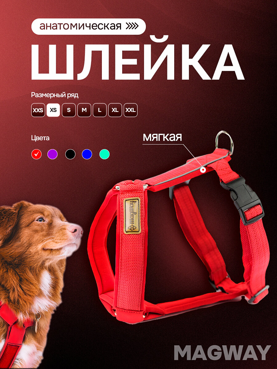 Шлейка прогулочная на мягкой подкладке из неопрена MagWay, красный, размер XS, для мелких, средних и крупных пород, анатомически правильная