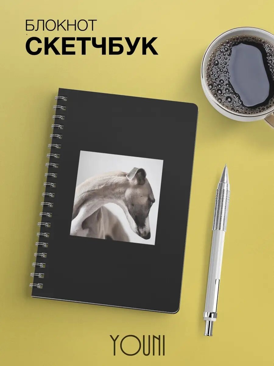 Скетчбук с собакой Sketchbook YOUni , для рисования, A5, на спирали, ламинированная обложка, 28 листов