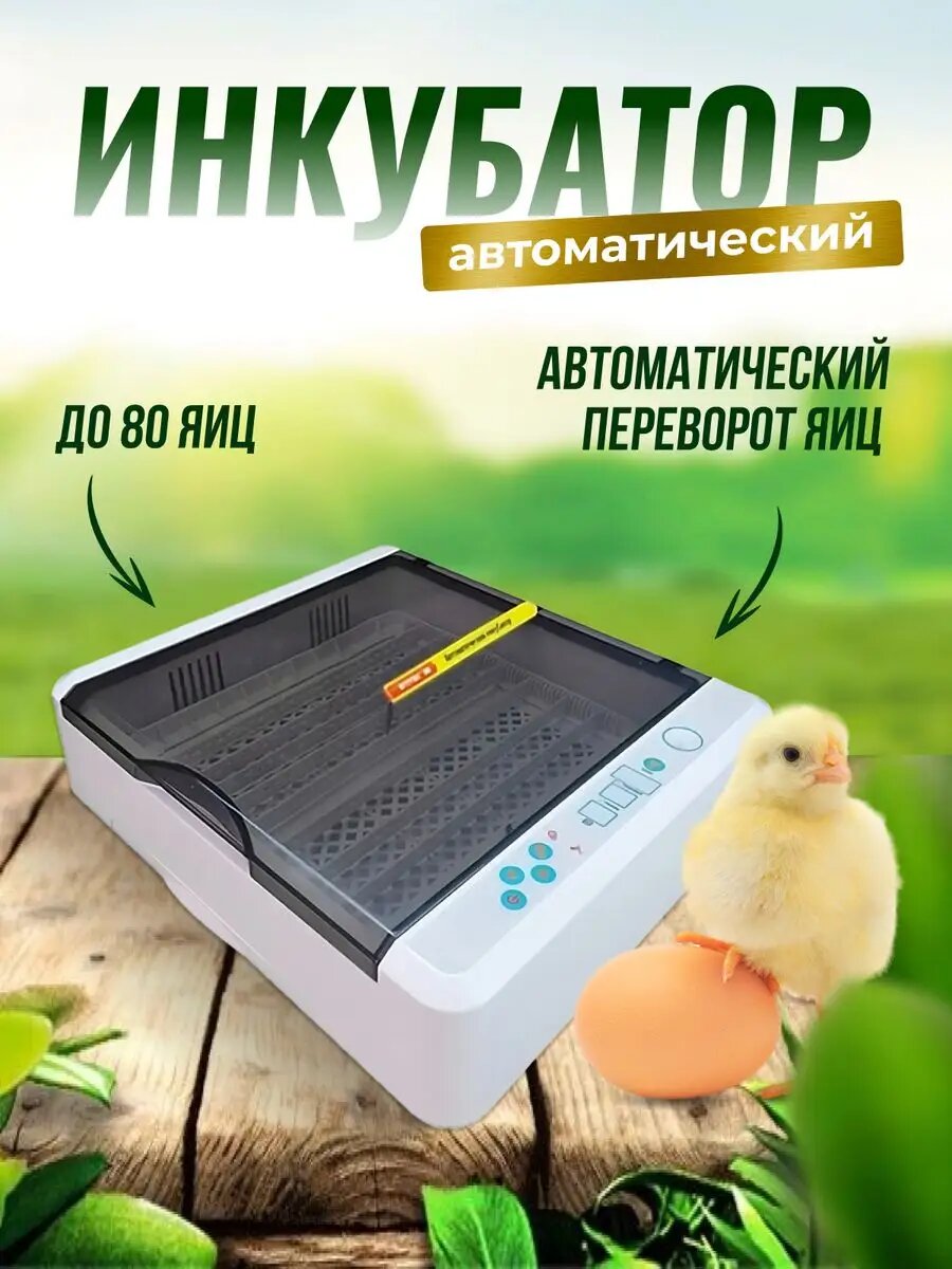 Инкубатор для яиц автоматический с терморегулятором "SITITEK 36"