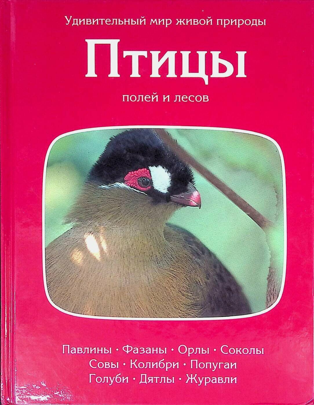 Птицы полей и лесов