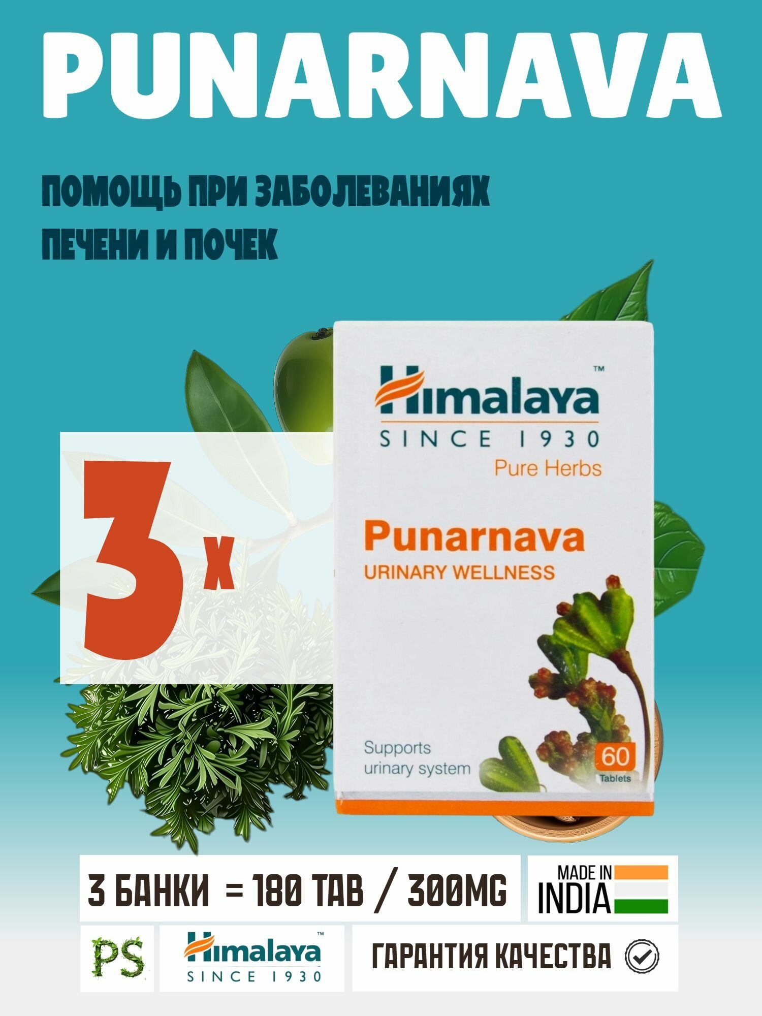 Пунарнава (Punarnava) - помощь при заболеваниях печени и почек, 180 таблеток