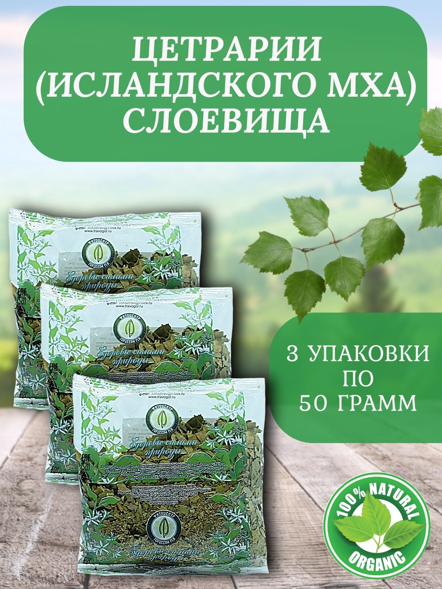 Травяной сбор Цетрарии (исландского мха) слоевища, Рецепты Гордеева, 50 гр. (3 шт в упаковке)