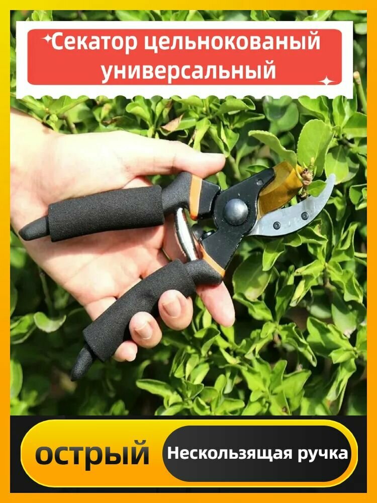Секатор универсальный садовый для растений, деревьев, цветов, орхидей