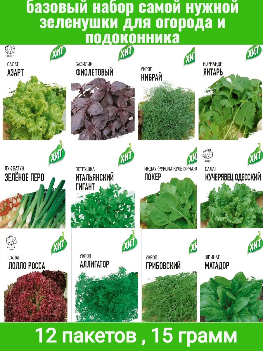 Семена зелени 12 пакетов укроп салат петрушка