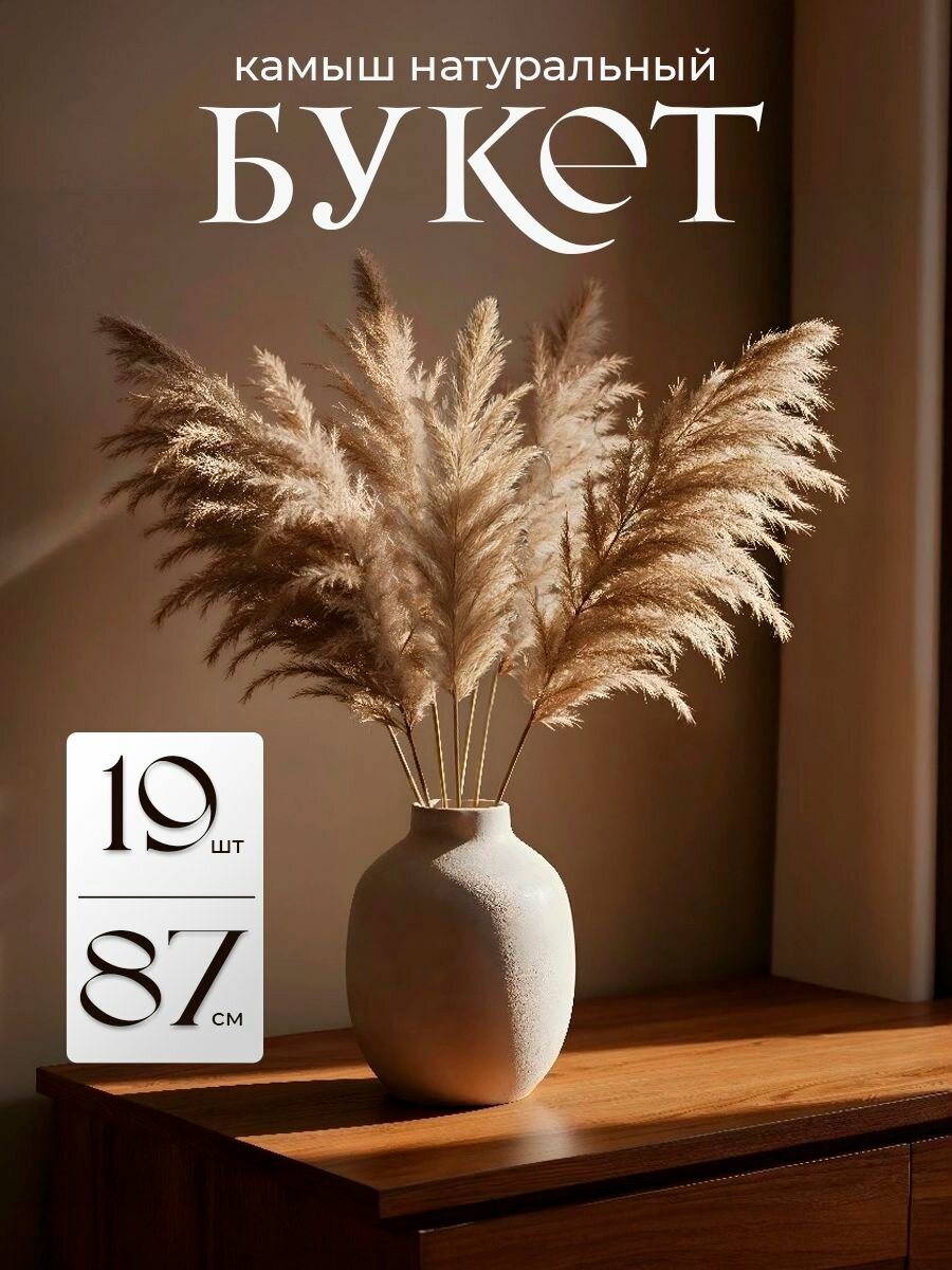 Сухоцветы пампасная трава альтернатива, камыш, 19 шт, 87см