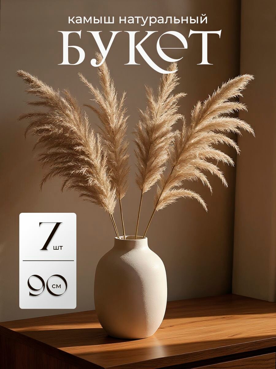 Сухоцветы пампасная трава альтернатива/камыш для интерьера, 7 шт, 90см