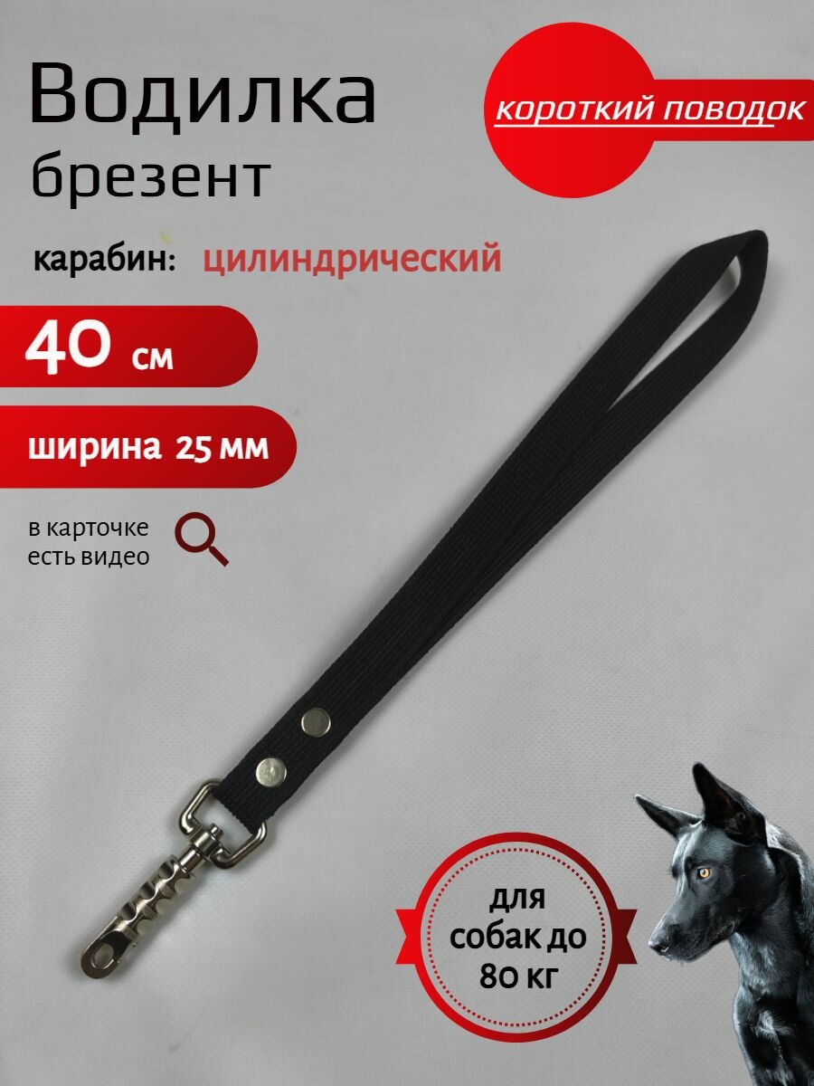 Водилка Хвостатыч для собак с цилиндрическим карабином брезент 40 см х 25 мм (черный)