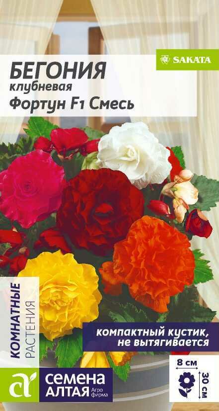 Семена Бегония Фортун Смесь клубневая 5 шт Семена Алтая