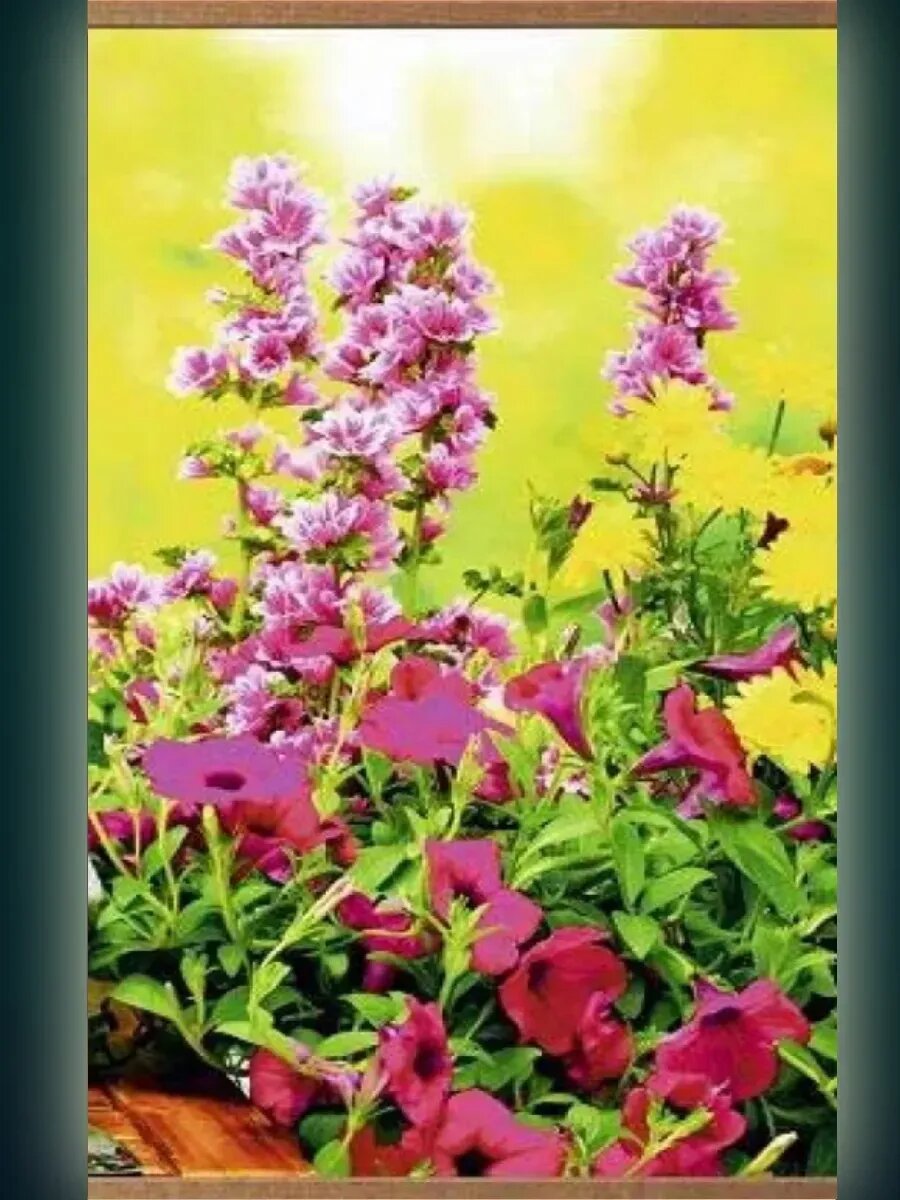 Обогреватель настенный инфракрасный для дома картина