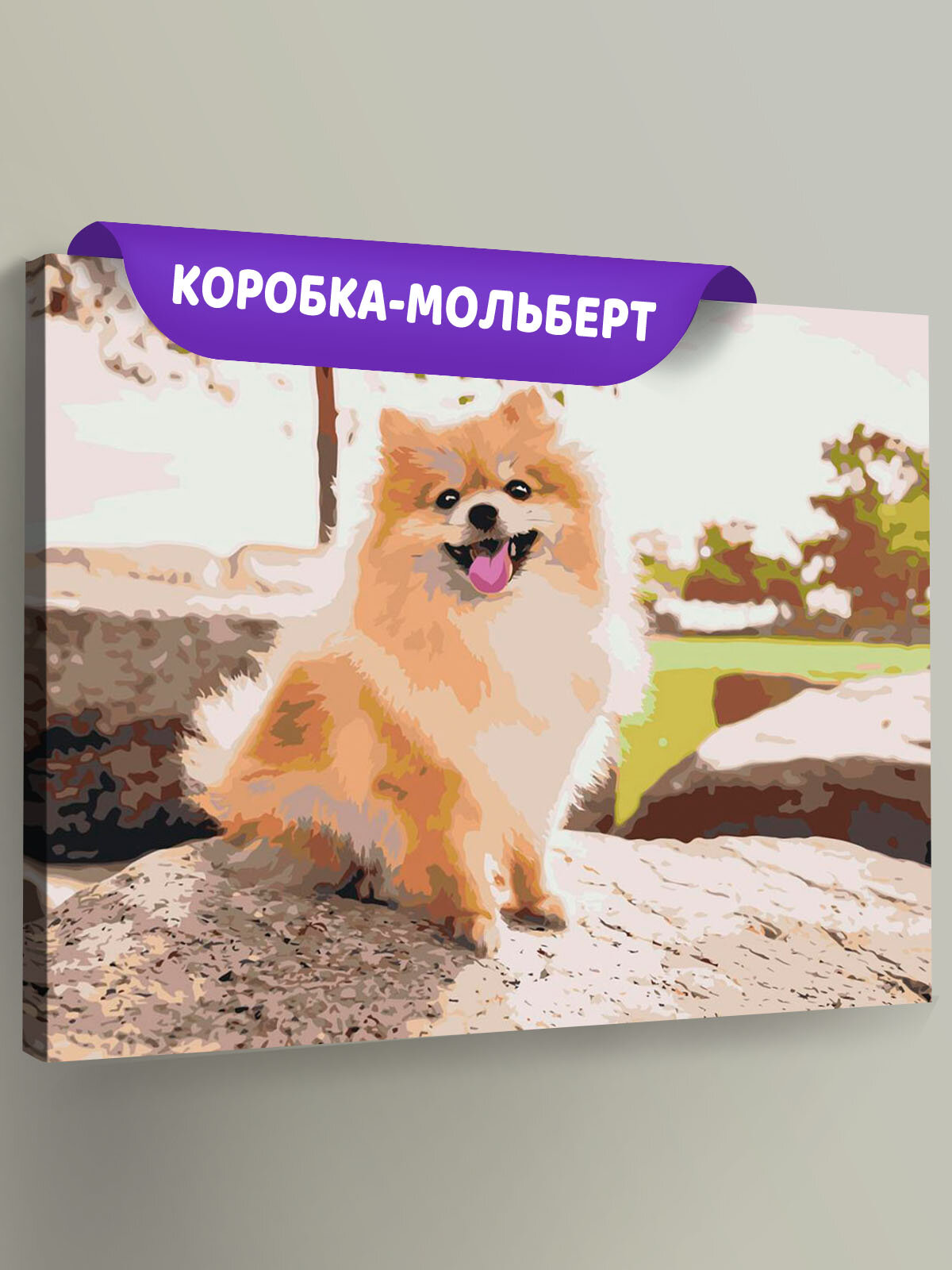 Картина по номерам на холсте с подрамником "Собаки: Шпиц позирует на камне" Раскраска 40x50 см, Животные Природа Щенок