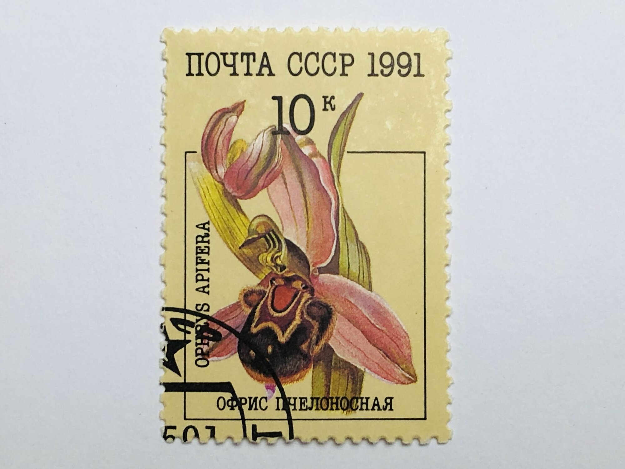Почтовые марки Цветы. Орхидеи. Офрис пчелоносная. 10 коп. СССР. 1991. Гашен