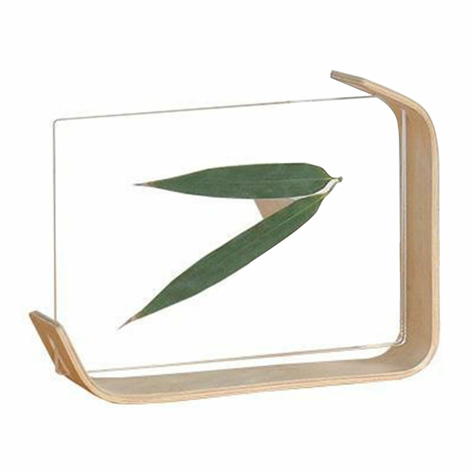 Деревянная рамка для гербария акриловая настольная фоторамка в современном стиле