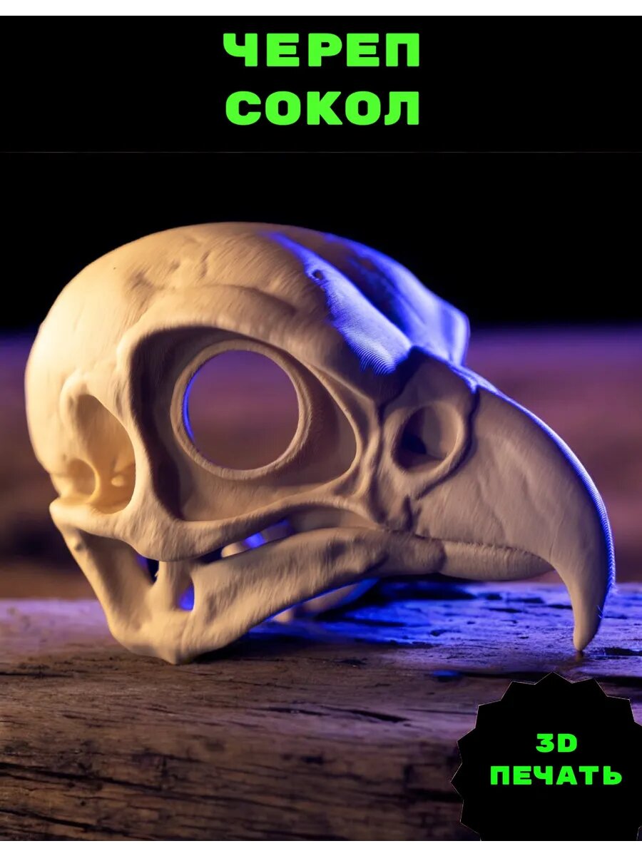Фигурка Череп Сокол цвет кость 3D печать готическая динозавр