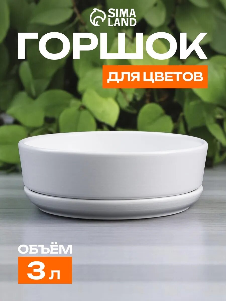 Горшок - бонсайница «Огма» керамический, для кактусов и суккулентов, 3 л, с поддоном, белый