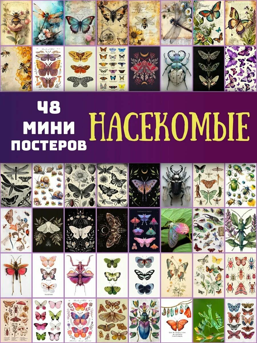 Набор постеров Насекомые