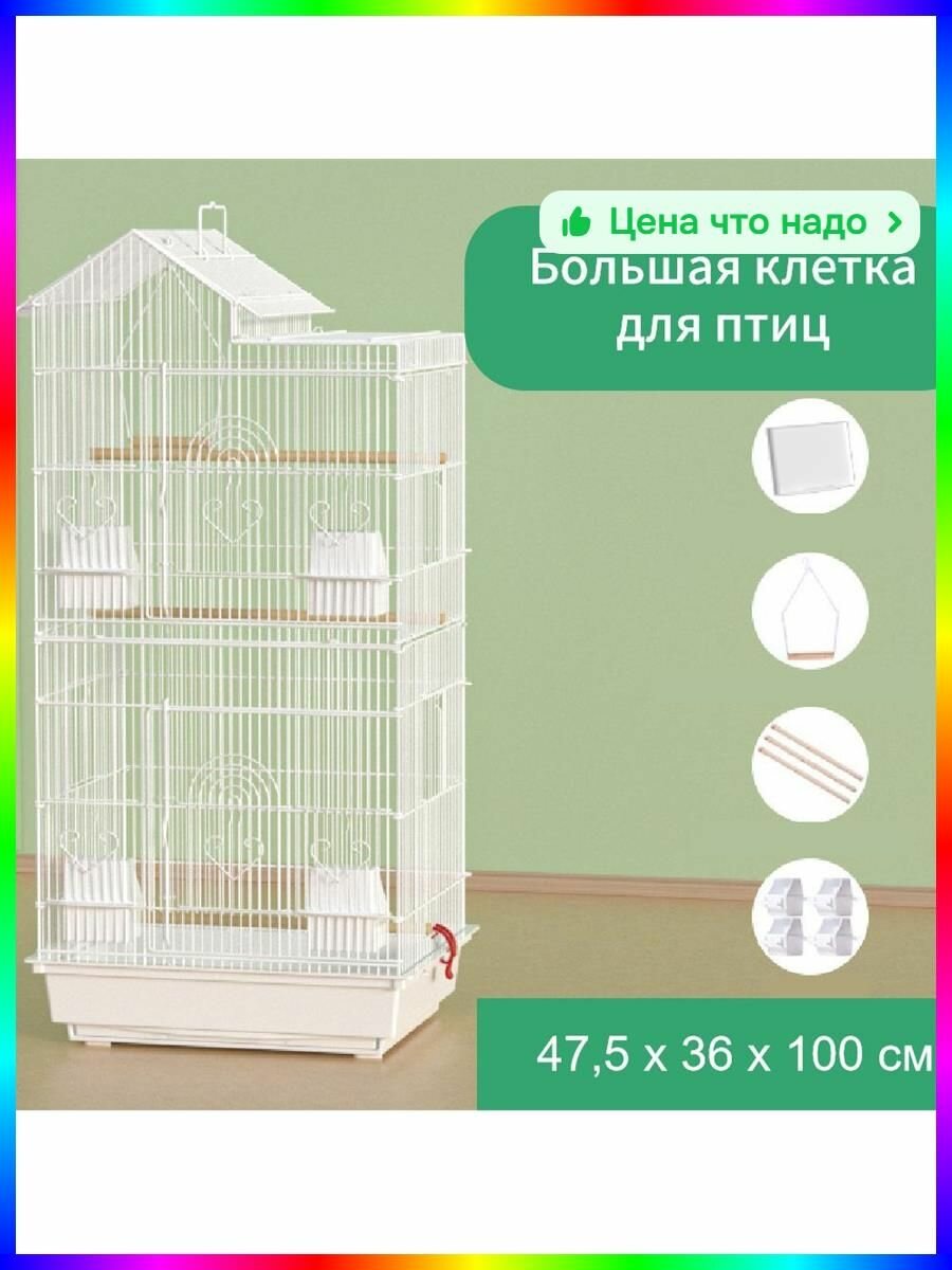 Большая клетка для птиц: комфорт и пространство для вашего питомца