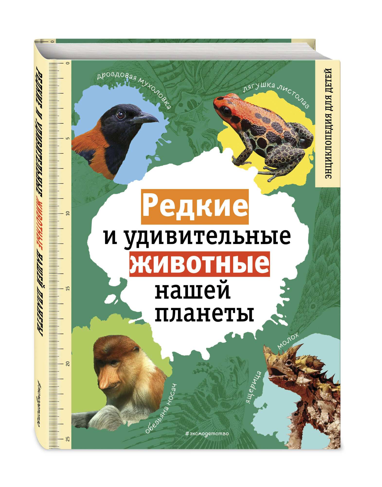 Климов В. В. Редкие и удивительные животные нашей планеты. Энциклопедия для детей