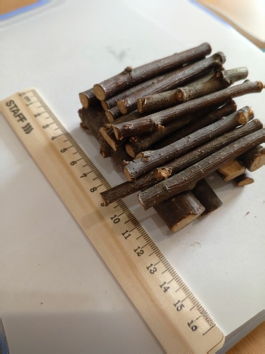 Лакомство для грызунов палочки веточки рябины, натуральные для стачивания зубов, крыс, мышей, хомяков, шиншилл, 8-10 см.